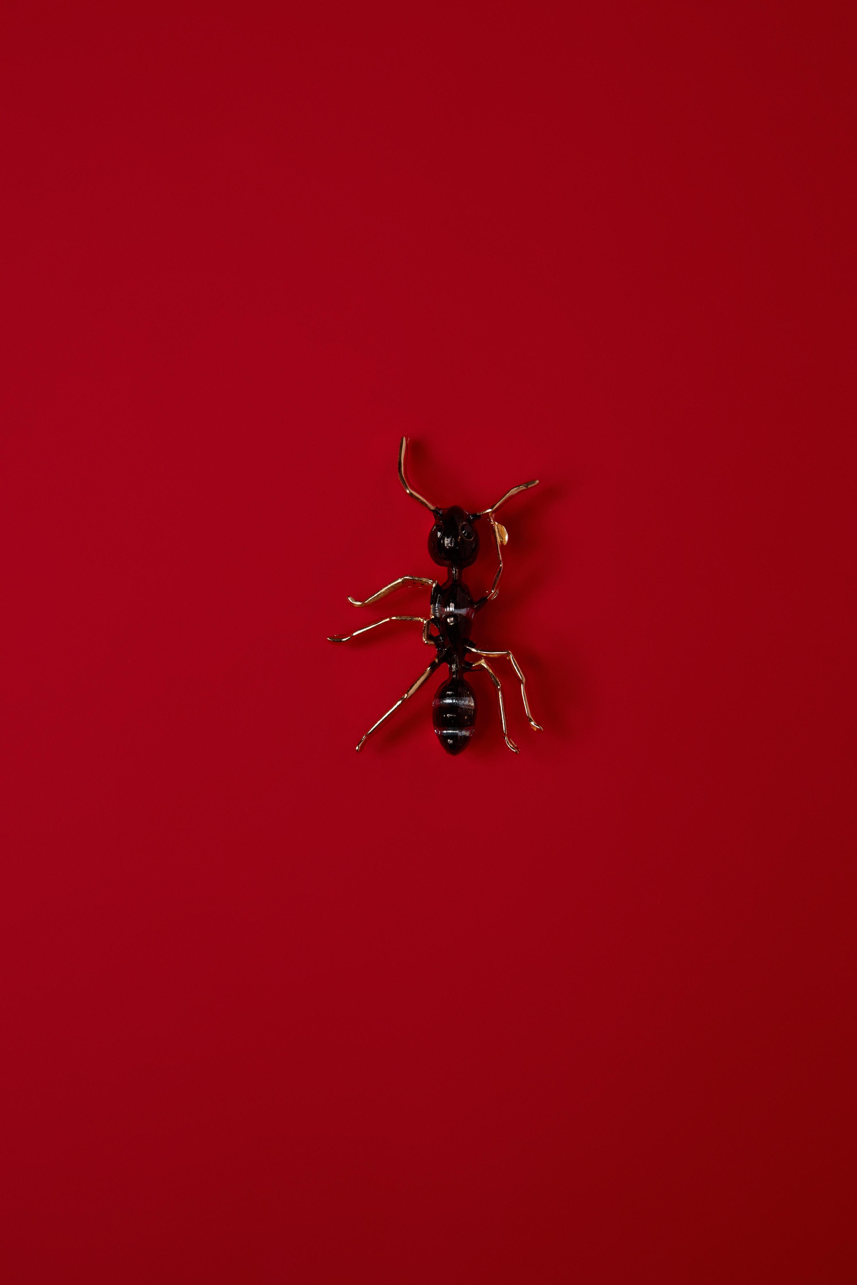 QUEEN ANT ANT BROOCH IN BLACK AND GOLD – Melinda Looi - Official Website